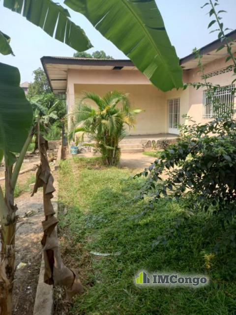 Maison / villa A VENDRE Kinshasa Ngaliema - Maison - Quartier Ma Campagne