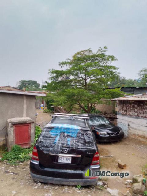 Terrain / parcelle A VENDRE Kinshasa Kintambo - Terrain - Quartier Basoko